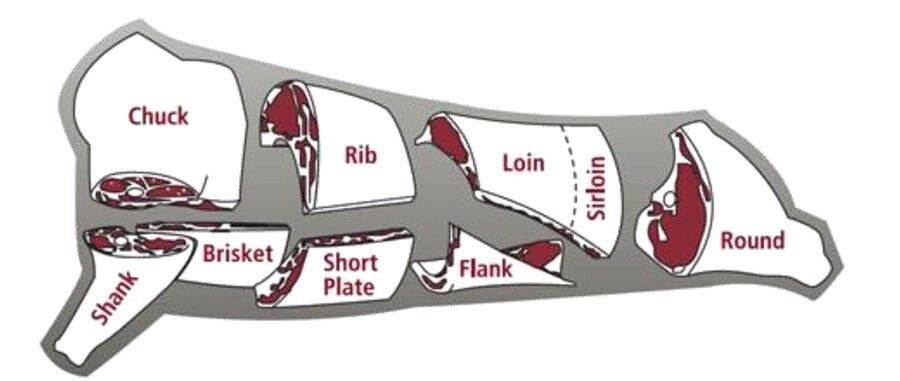 Understanding Beef Carcass Yields and Losses During Processing | Beef ...