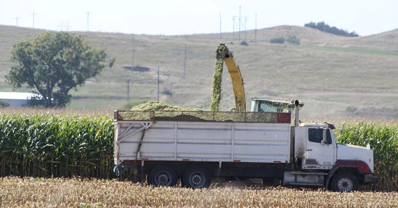 Pricing Corn Destined for Feeding as Silage, Snaplage, Earlage or Grain ...