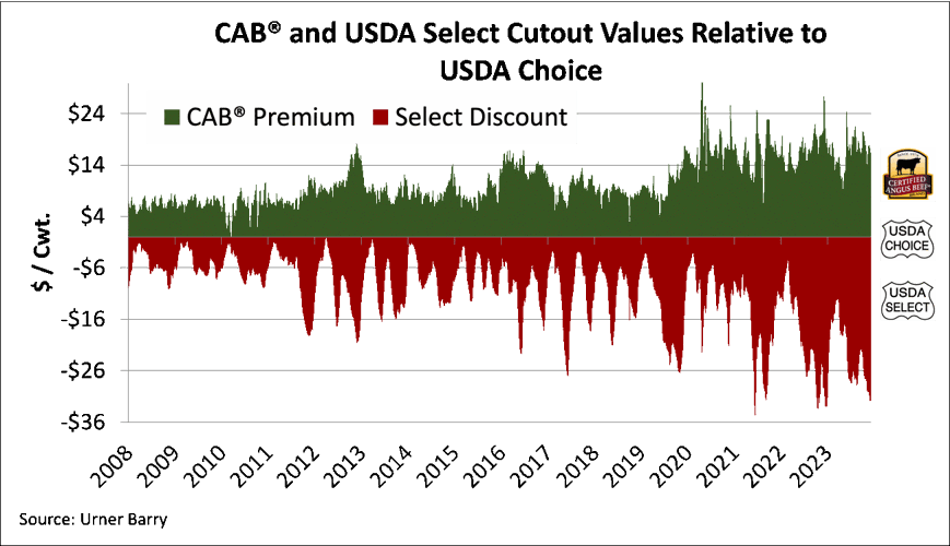 CAB Insider: Carcass Premium Spreads Continue Strength | Industry News ...