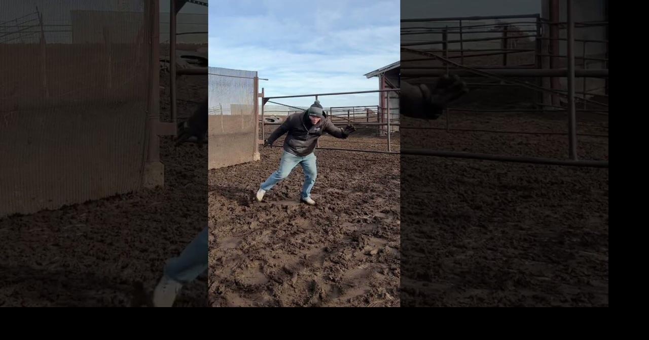 Tap Dance vs. Chasing Cows in the Mud | Multimedia | feedlotmagazine.com