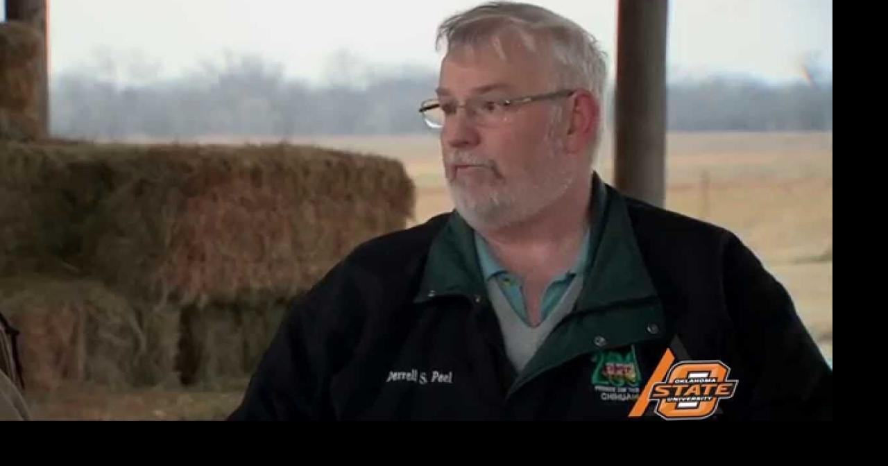 Livestock Marketing with Derrell Peel | News | feedlotmagazine.com
