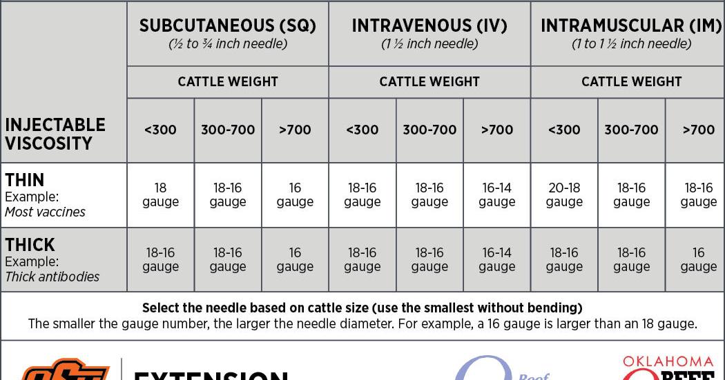 Needle Selection for Vaccinating Cattle | Management | feedlotmagazine.com