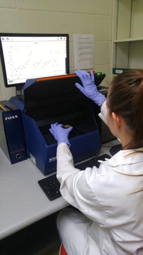 Manure Testing Results are ‘No Bull’ to Cattle Ranchers | News ...