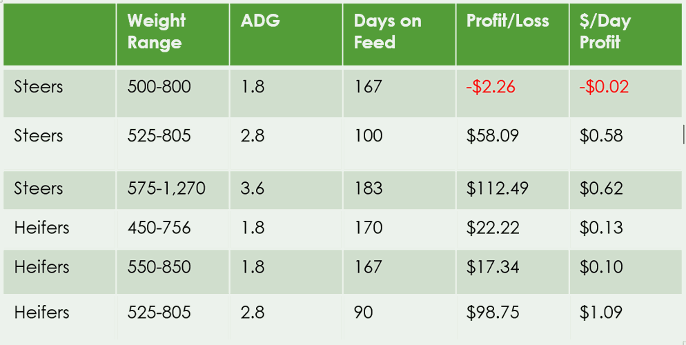 NDSU Extension Offers Considerations for Backgrounding Calves | Stocker ...