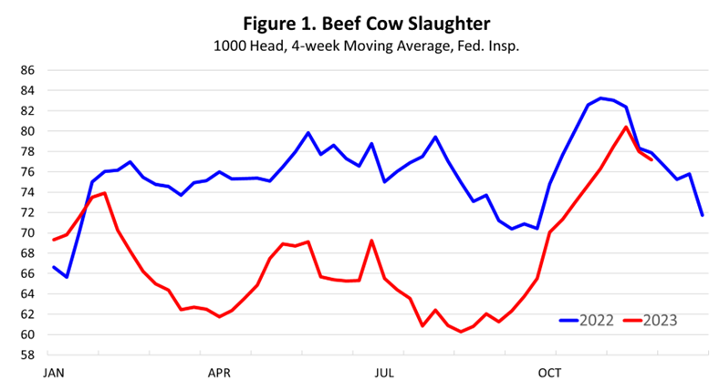 Beef Cow Slaughter and Herd Culling | Industry News | feedlotmagazine.com