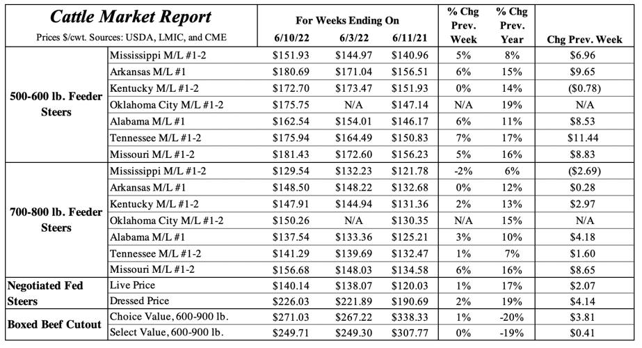 Feeder Cattle Lot Size | Industry News | feedlotmagazine.com