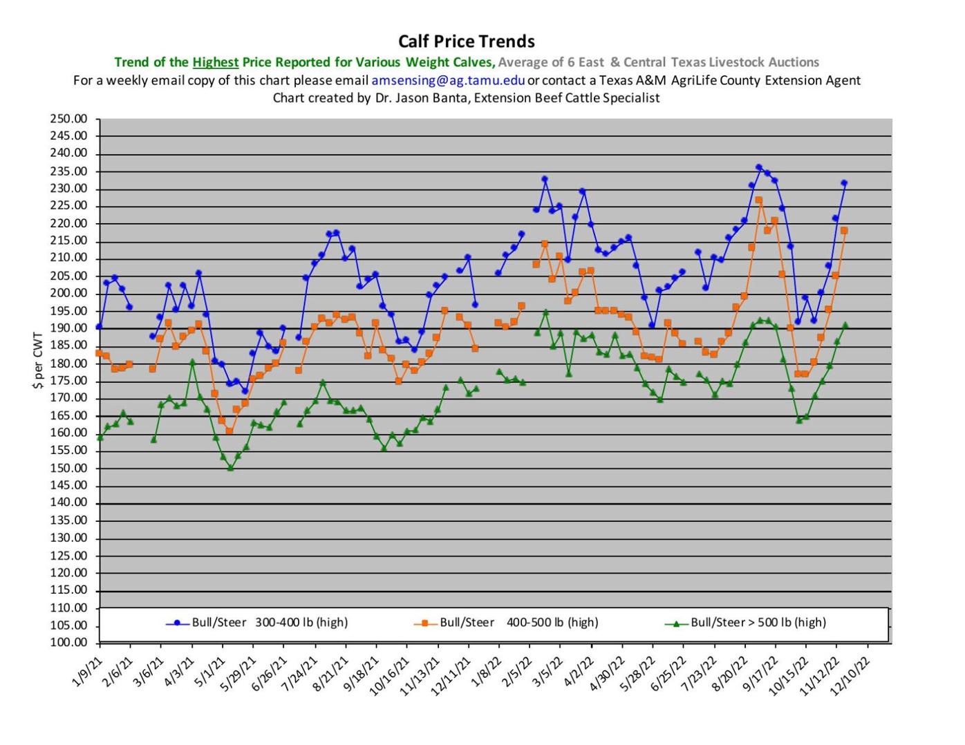 Cattle Price Trends for the Week Ending 11/19/22 | Market Reports ...
