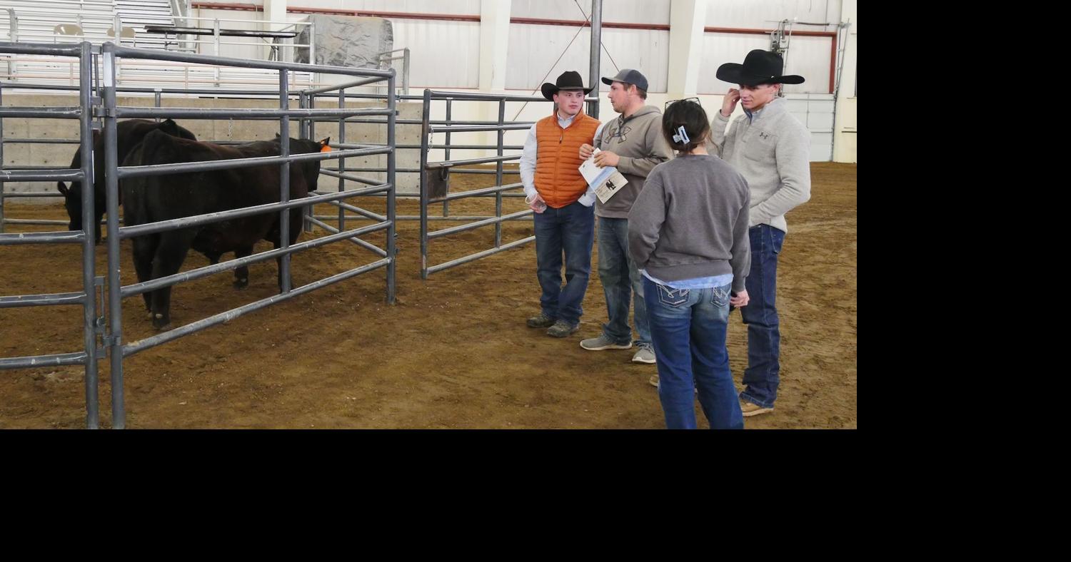 Registration Open for UW’s Third Annual High Altitude Bull Test | Cow ...