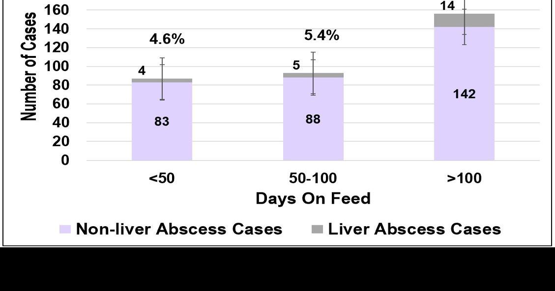 Liver Abscesses During the Cattle Feeding Phase | Feedlot Special ...