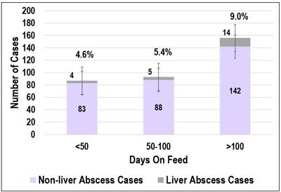 Liver Abscesses During the Cattle Feeding Phase | Feedlot Special ...