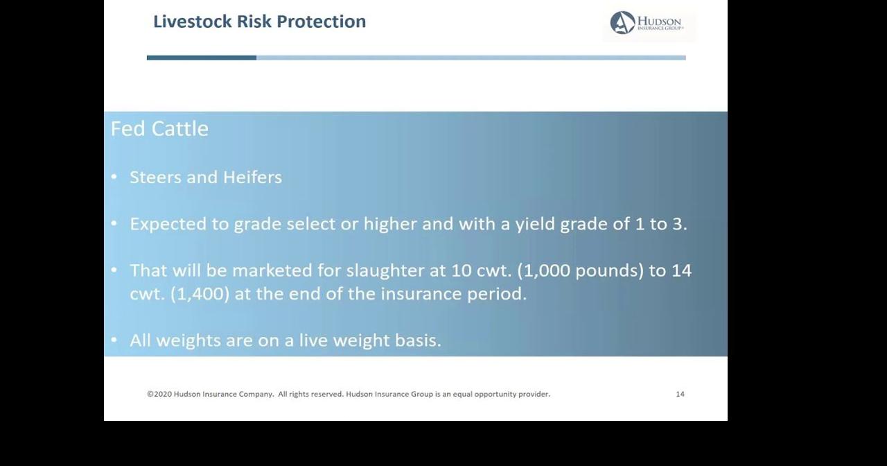 Managing Cattle Income Risk with Livestock Risk Protection (LRP ...