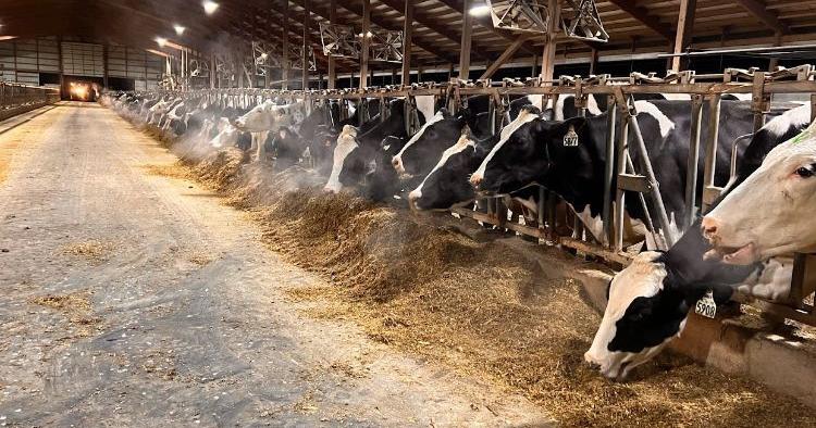 Biosecurity Recommendations for Dairy and Beef Cattle Operations | Beef ...
