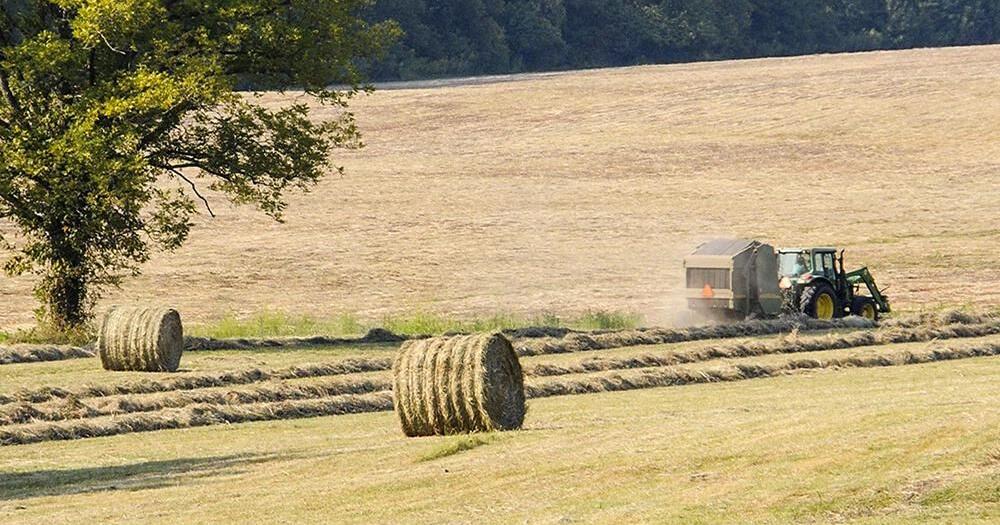 Summary of the 2023 Arkansas Hay Verification Program | Industry News ...