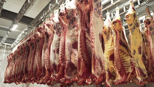 Cold Storage | Beef News | feedlotmagazine.com