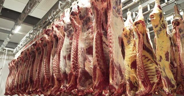 Cold Storage | Beef News | feedlotmagazine.com