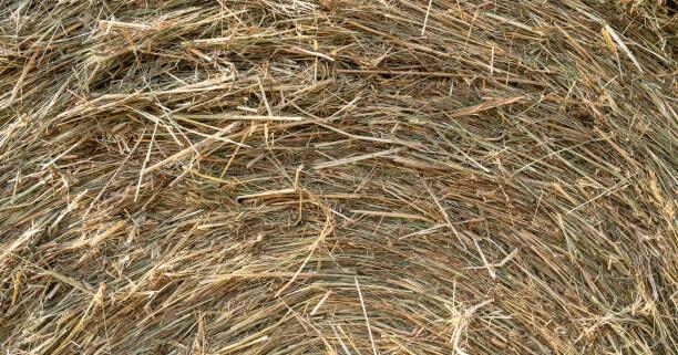 Hay Production Costs and Returns from the 2024 Arkansas Hay ...