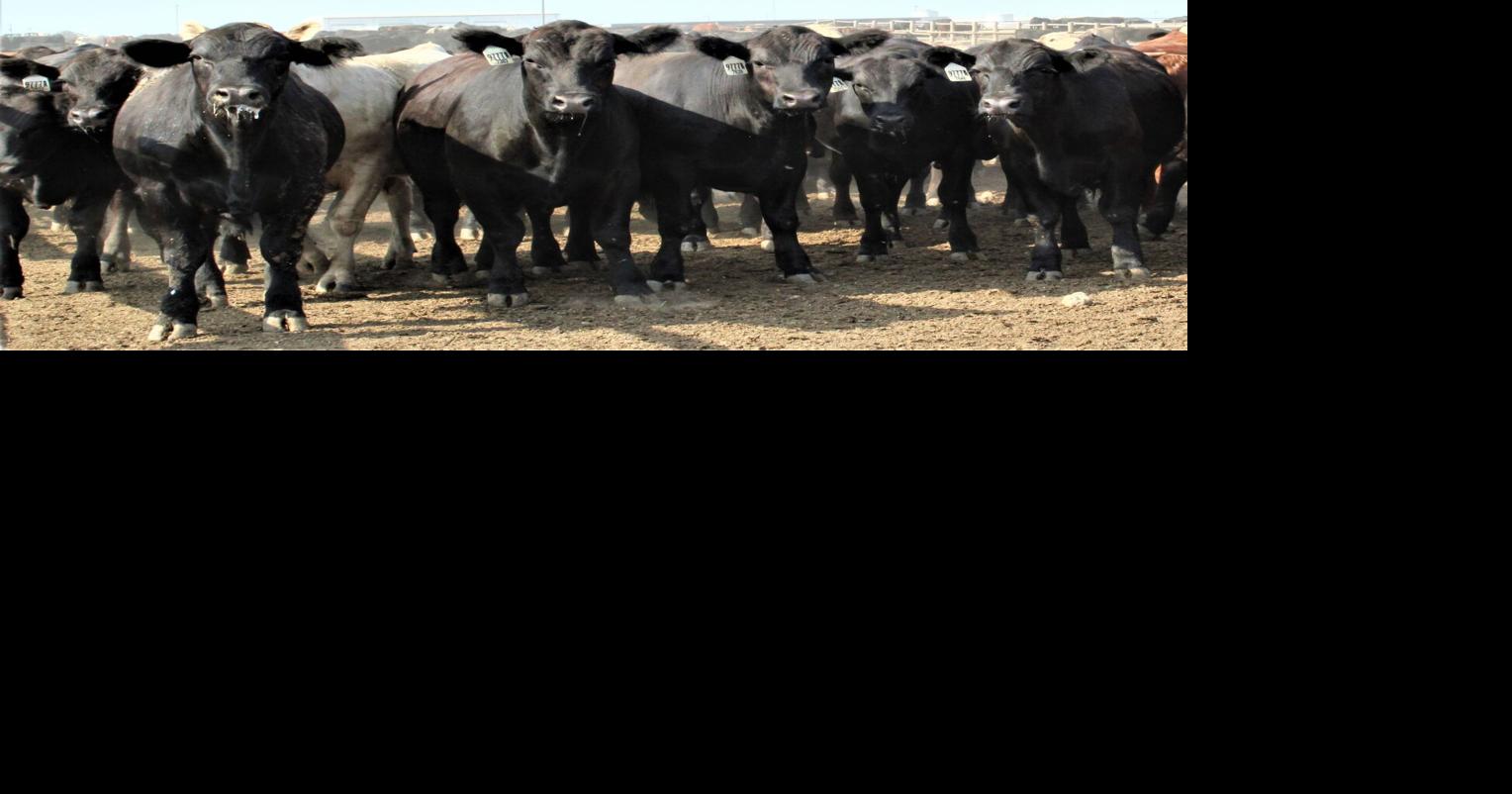 5 Ways to Reduce Stress in Your Receiving Protocol | Stocker Special ...