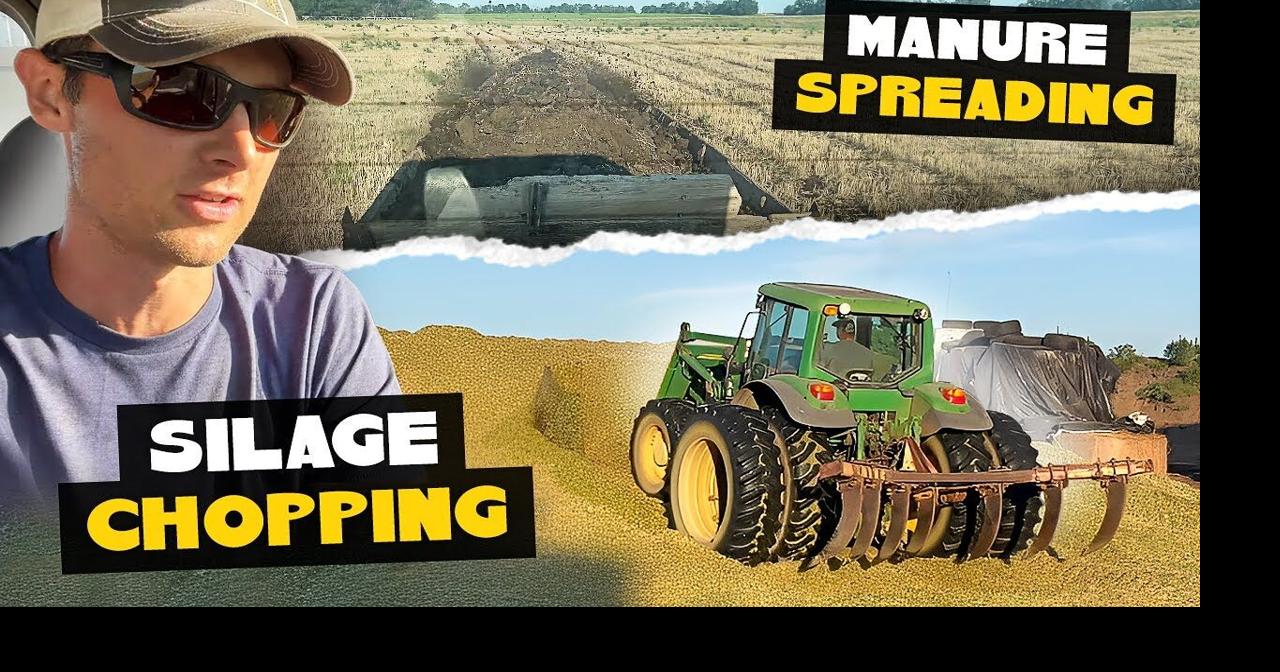 Silage Chopping & Manure Spreading | Big Farm Work in Action ...