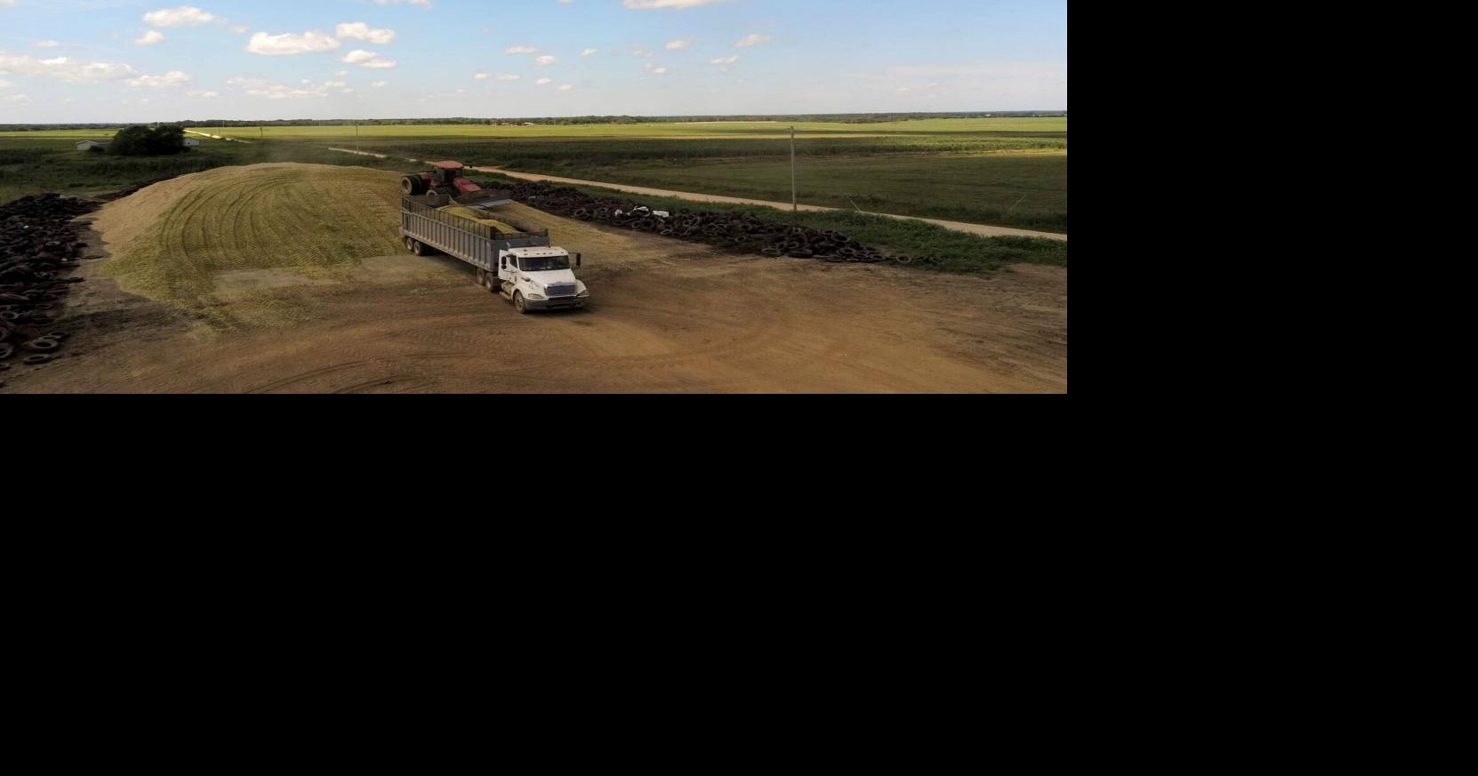 Silage piles save money over baleage on late-planted corn | Management ...