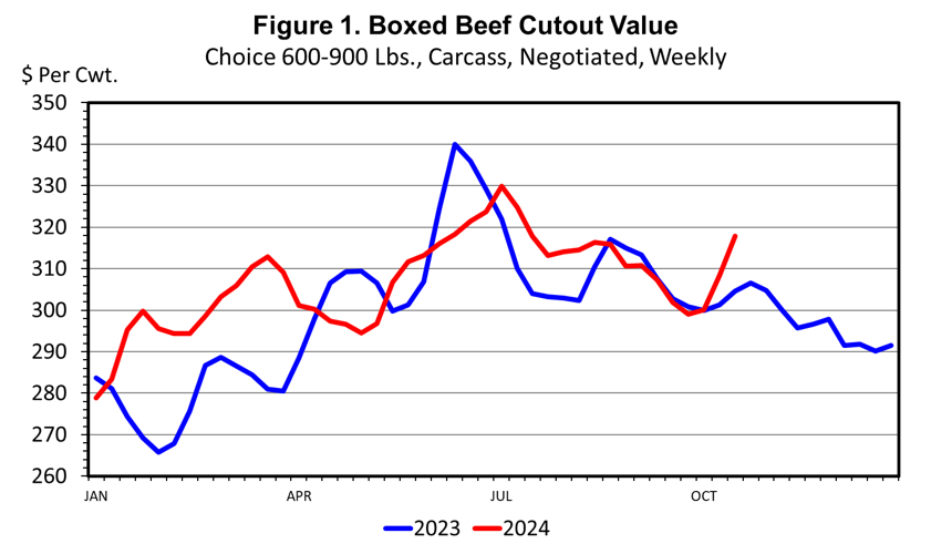 Beef Production and Fall Beef Demand | Industry News | feedlotmagazine.com