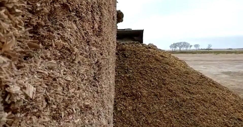 Corn Silage Feed Out | Feedlot Special | feedlotmagazine.com