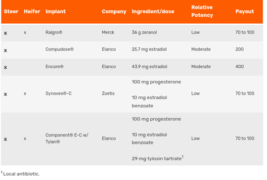 Implants and Their Use in Beef Cattle Production | Feedlot Special ...