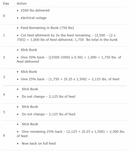 Recovering Feed Intakes in Feedlot Cattle | Feedlot Special ...