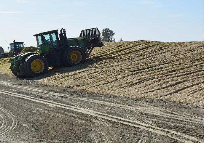 12-Step Silage Success System | Feedlot Special | feedlotmagazine.com