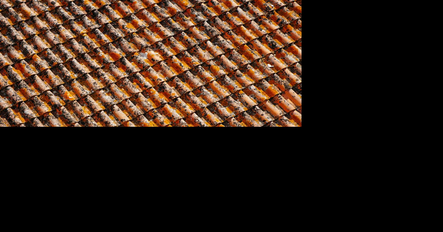 Shielding Your Home What Every Homeowner Should Understand About Roof ...