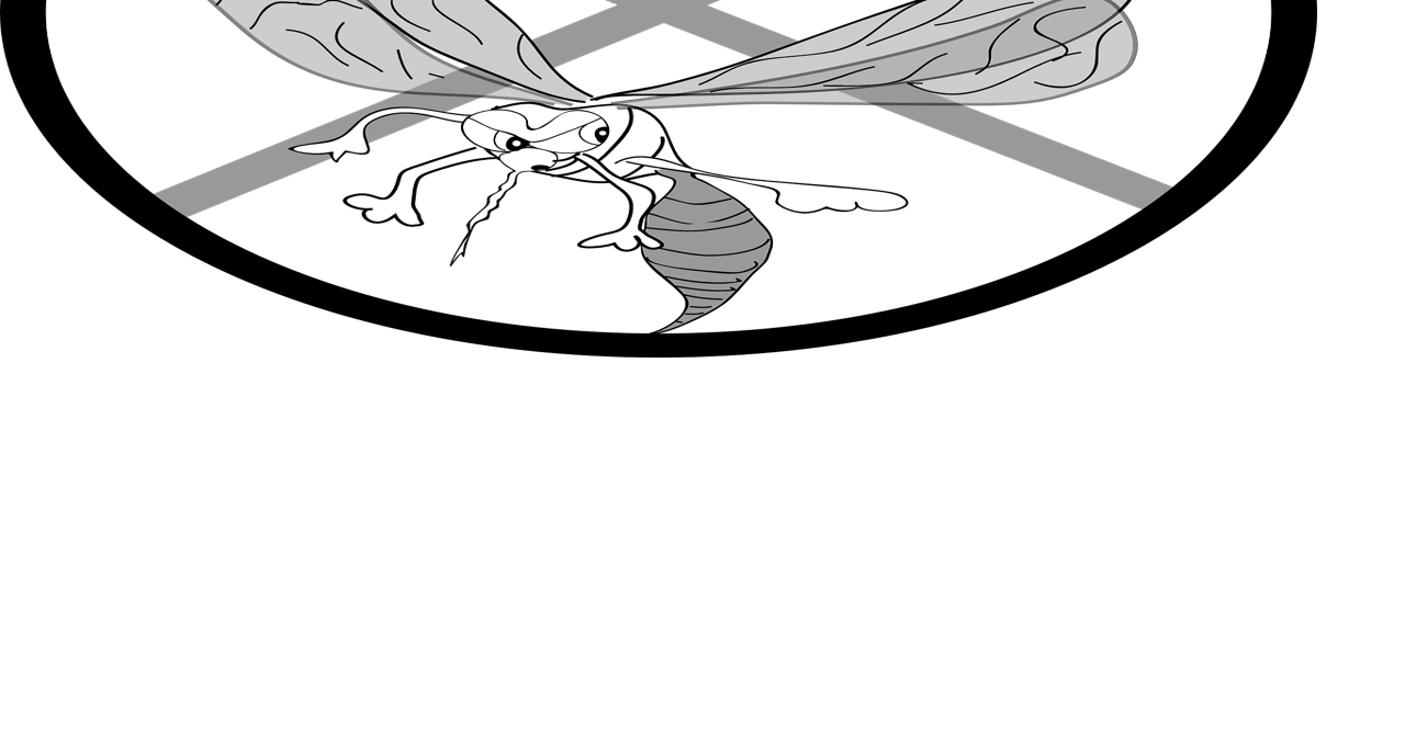Understanding the Benefits of Outdoor and Indoor Mosquito Control for ...