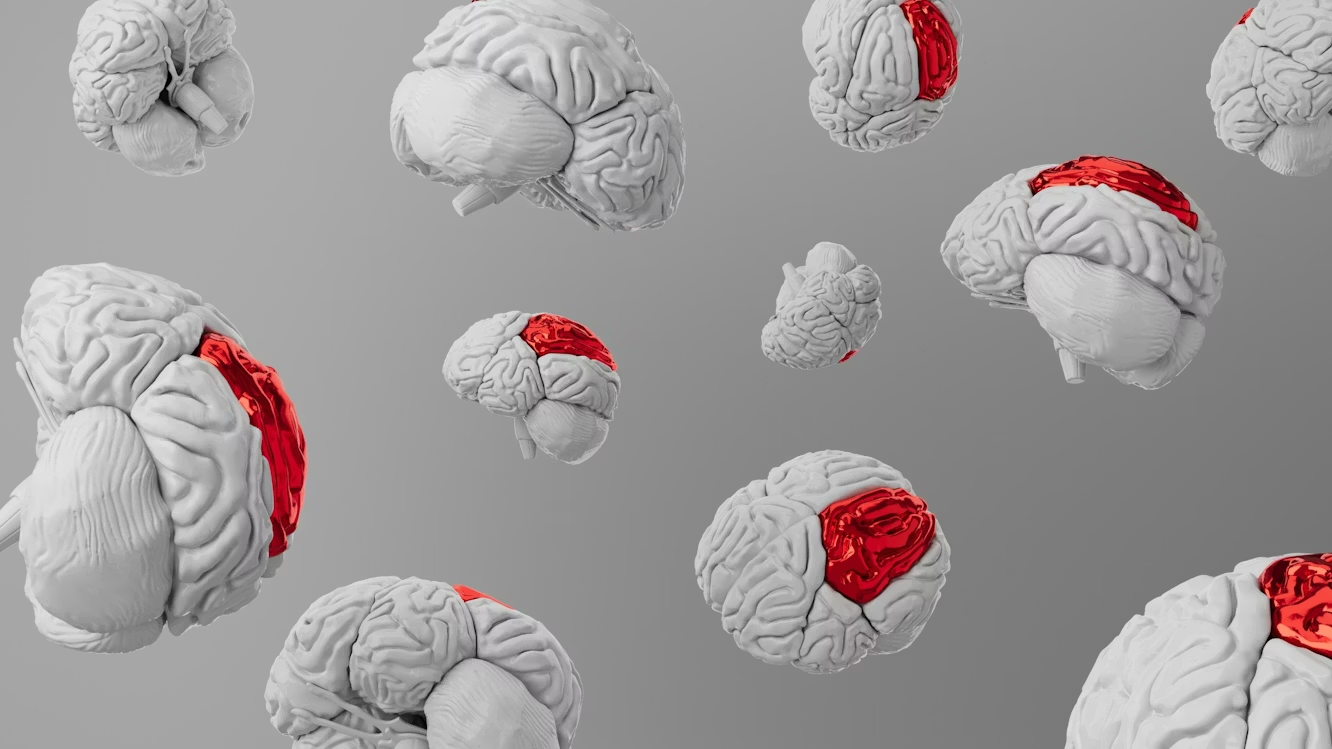 Wellness for the Mind: Strategies for Maintaining Brain Health | Health ...