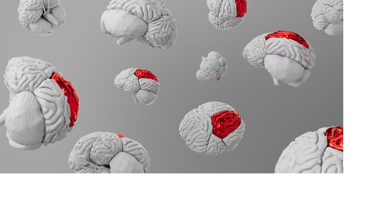 Wellness for the Mind: Strategies for Maintaining Brain Health | Health ...