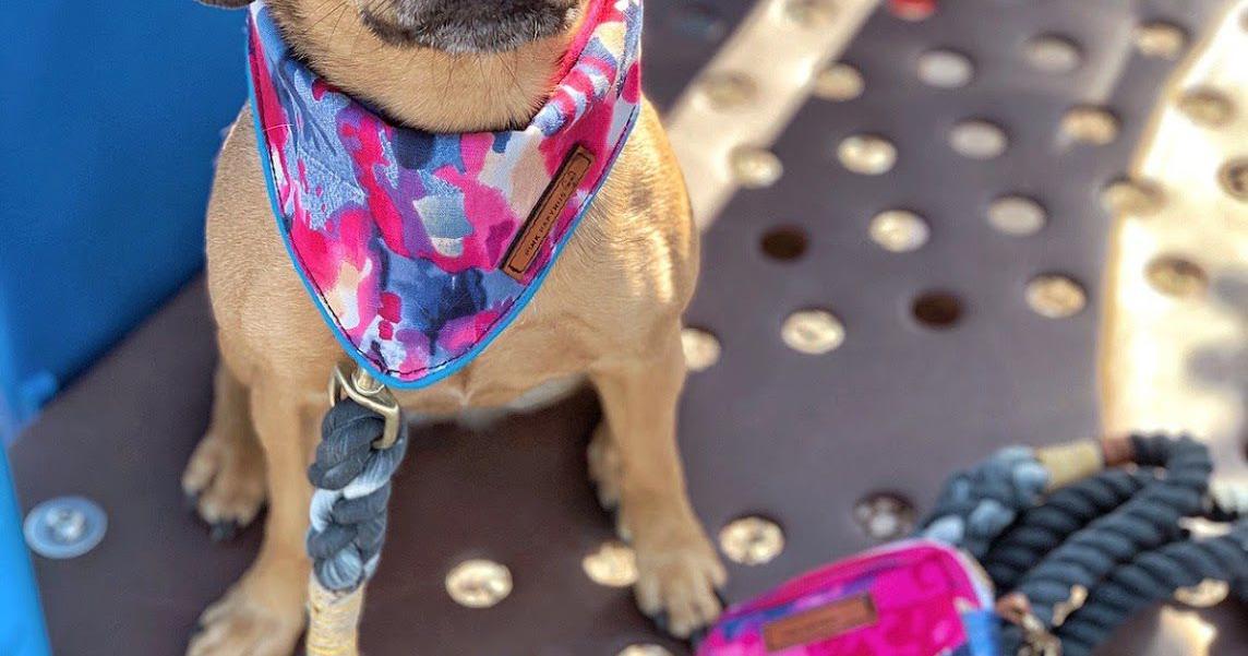 Pink Papyrus Launches New Pet Accessories with Vegan Friendly Options ...