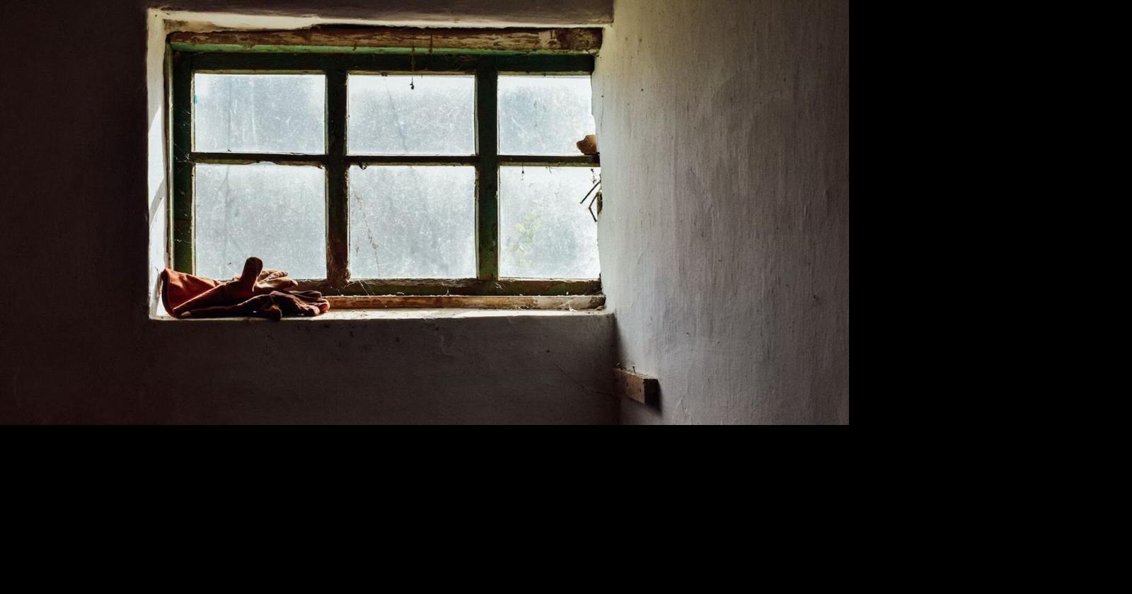 Pro vs DIY Window Replacement: Which Is Better for Your Home ...
