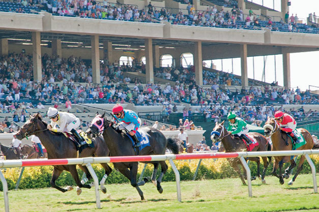 Interview: Jeff Bloom of Bloom Racing Stable | LifeStyle ...