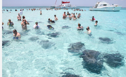 What is the best time of year to visit Stingray City in Grand Cayman ...