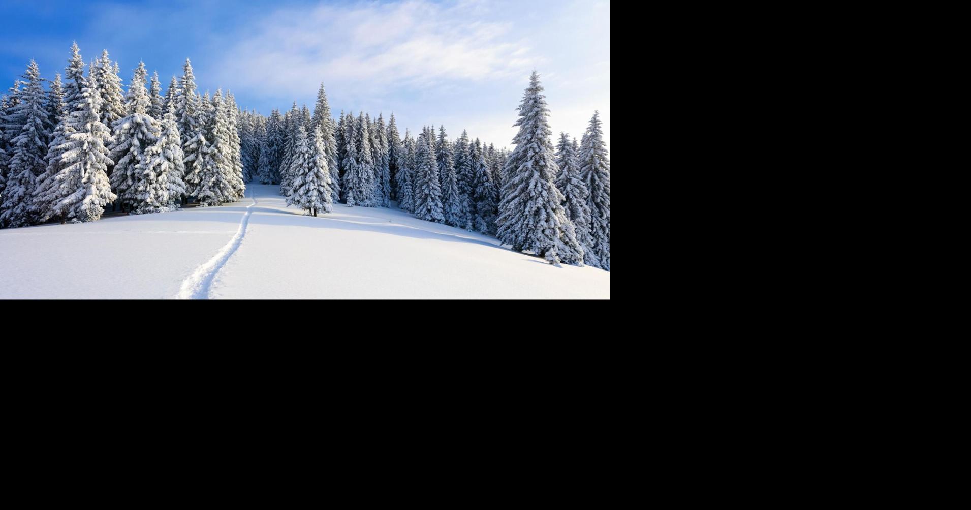 Transformative Techniques in Winter Photography: A Detailed Guide ...