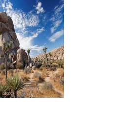 5 Warm Weather Camp Spots to Try This Winter | Featured ...