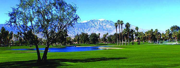 Above Par: Desert Island Golf & Country Club | Sports ...