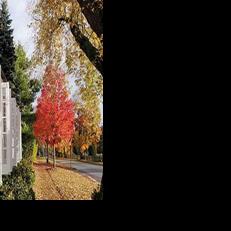 Top 6 Hotels to Enjoy the East Coast Autumn | Resorts ...