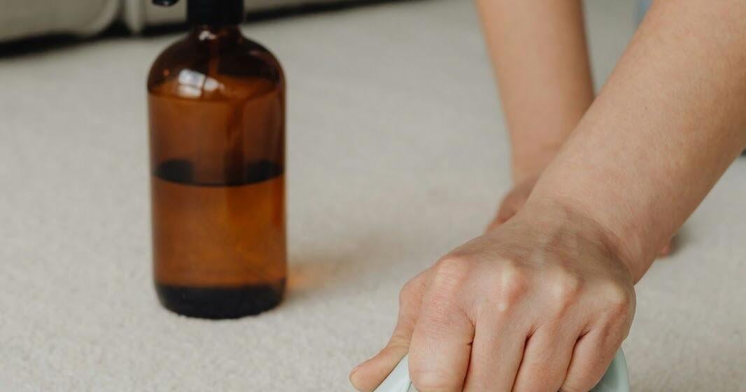 How to Get Stains Out of Carpet: A 2025 Step-by-Step Guide for Every ...
