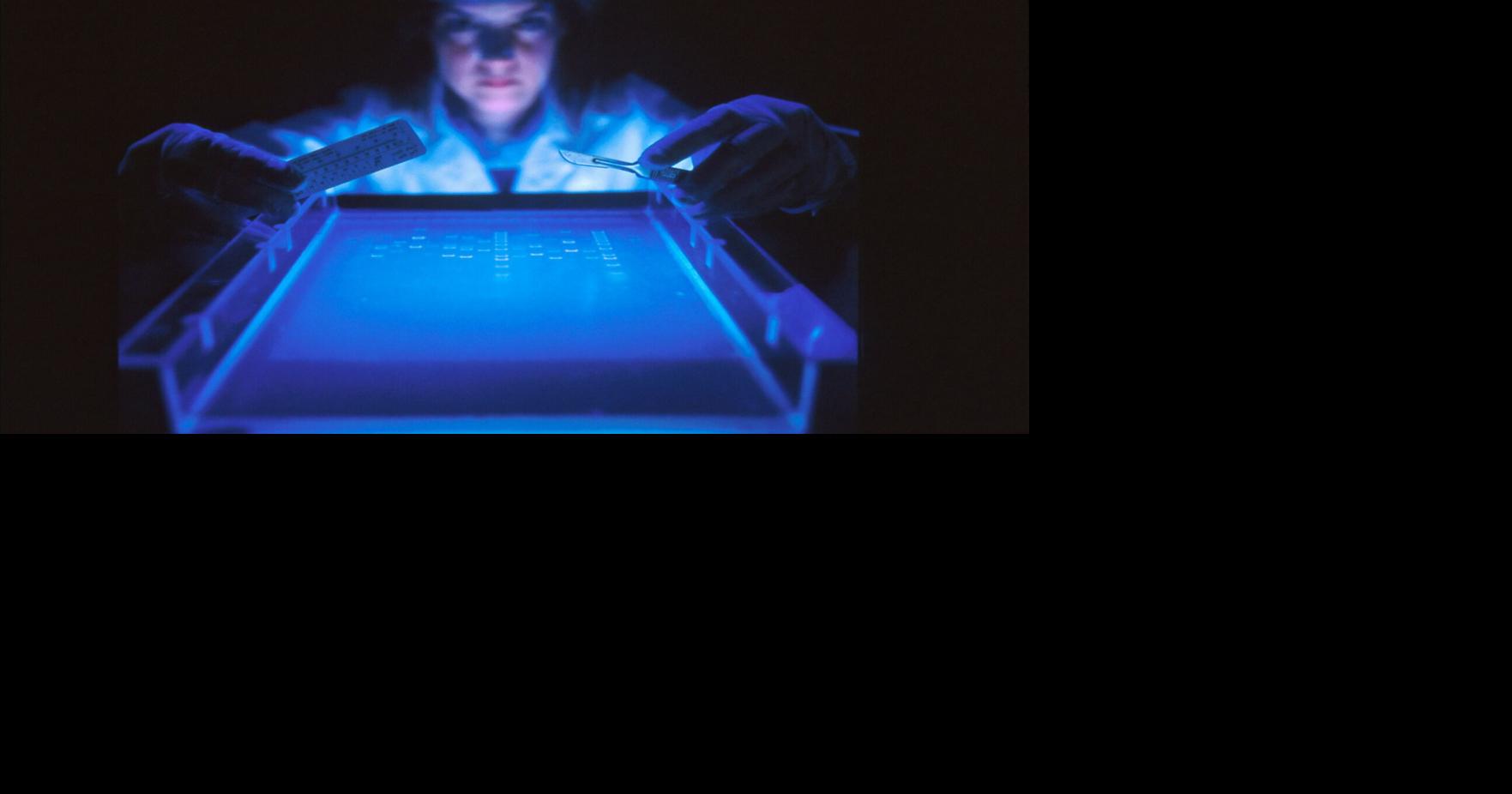 The importance of uncle DNA testing for the family | Featured ...