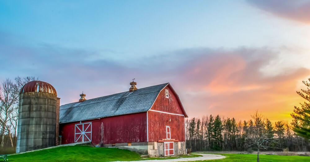 Five Ways to Upgrade Your Barn for Happier Livestock | Home And Gardens ...