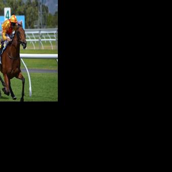 5 Common Horse Racing Injuries to Watch Out For | Featured ...