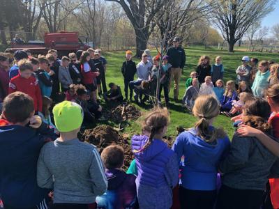 Brooklyn Elementary School students celebrate Arbor Day with tree ...