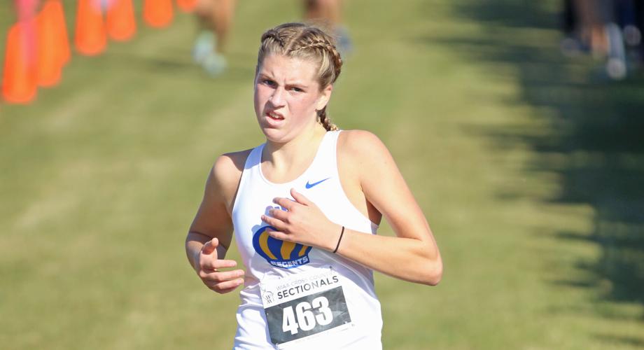 Cross country: Madison West boys punch team ticket to state, Anna ...