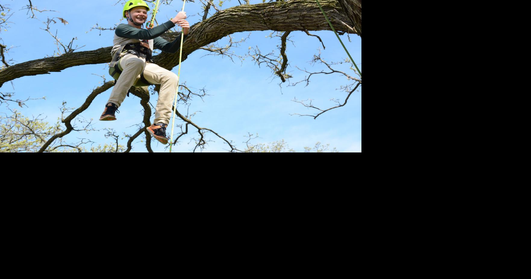 OASIS students climb, plant trees at Anderson Park | SCHOOLS ...