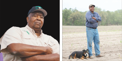 Marijuana license decision challenged | News | flcourier.com