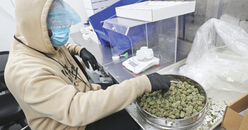 Deaths from fake weed surge during push to legalize recreational ...