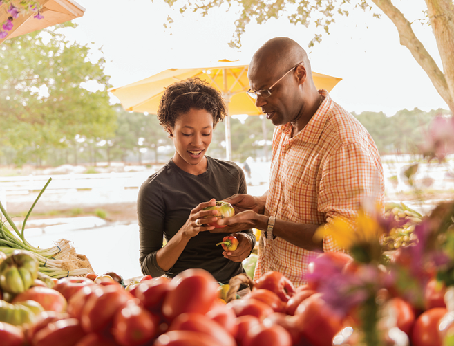 SUSTAINABLE SUSTENANCE | Food | flcourier.com